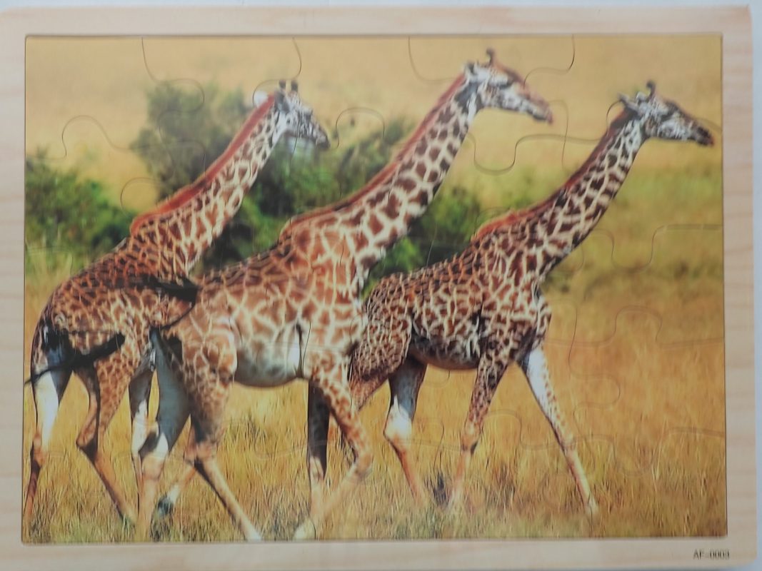 A3- Animal Puzzle ⋆ BrainySparks