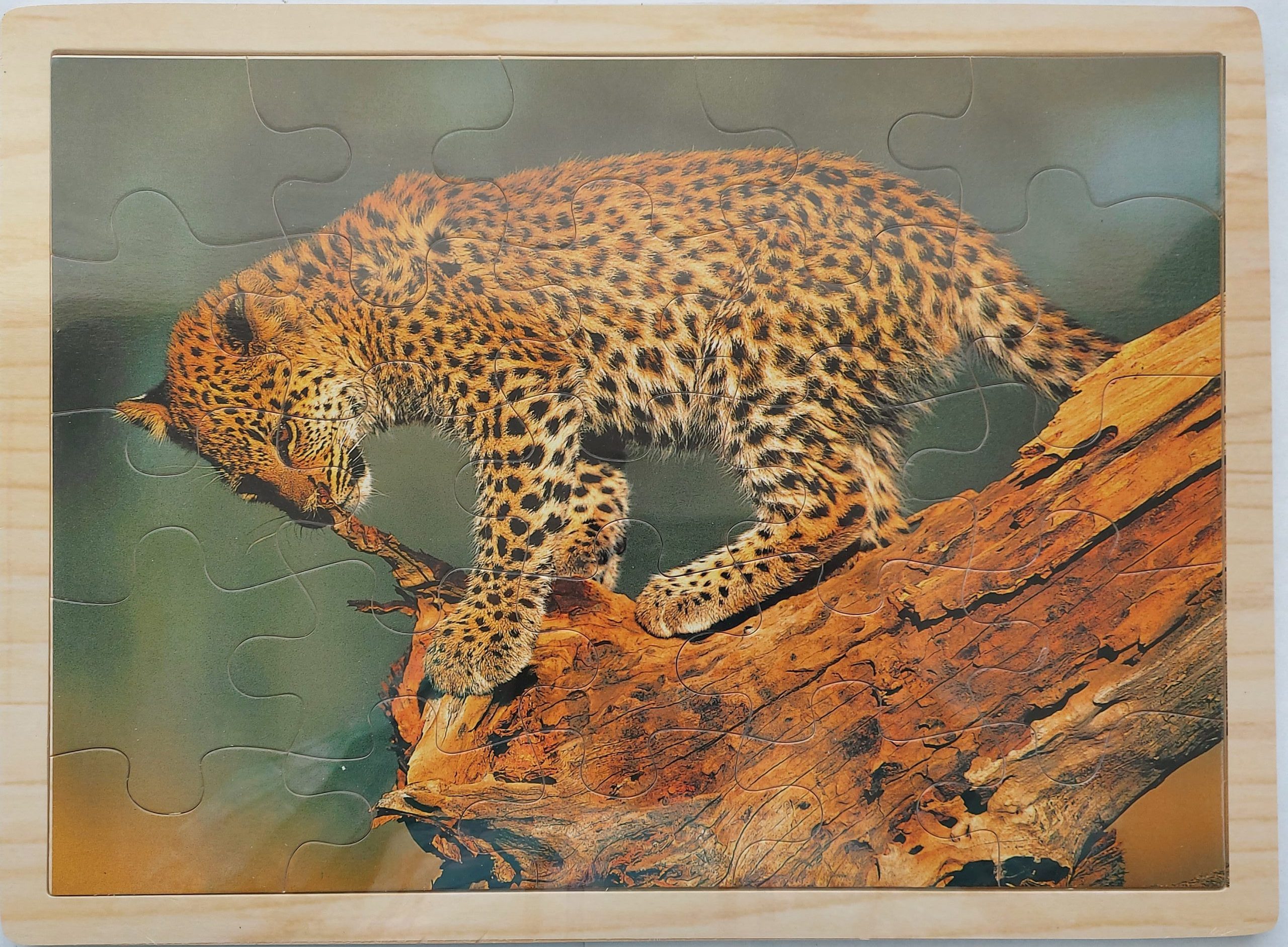 A3- Animal Puzzle ⋆ BrainySparks